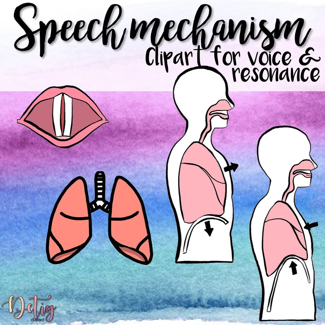 Speech Mechanism Clipart for Voice & Resonance - Etsy