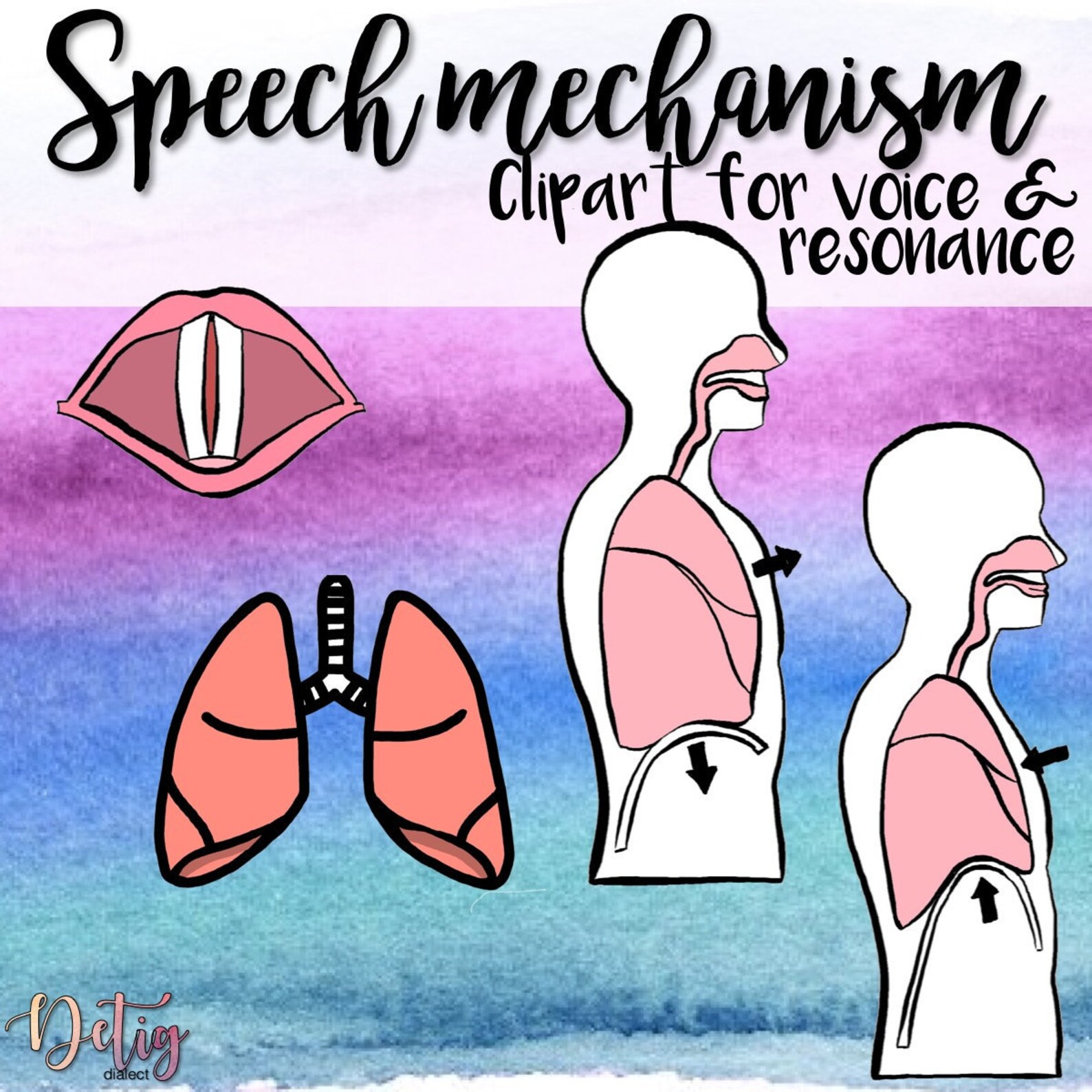 Speech Mechanism Clipart for Voice & Resonance - Etsy