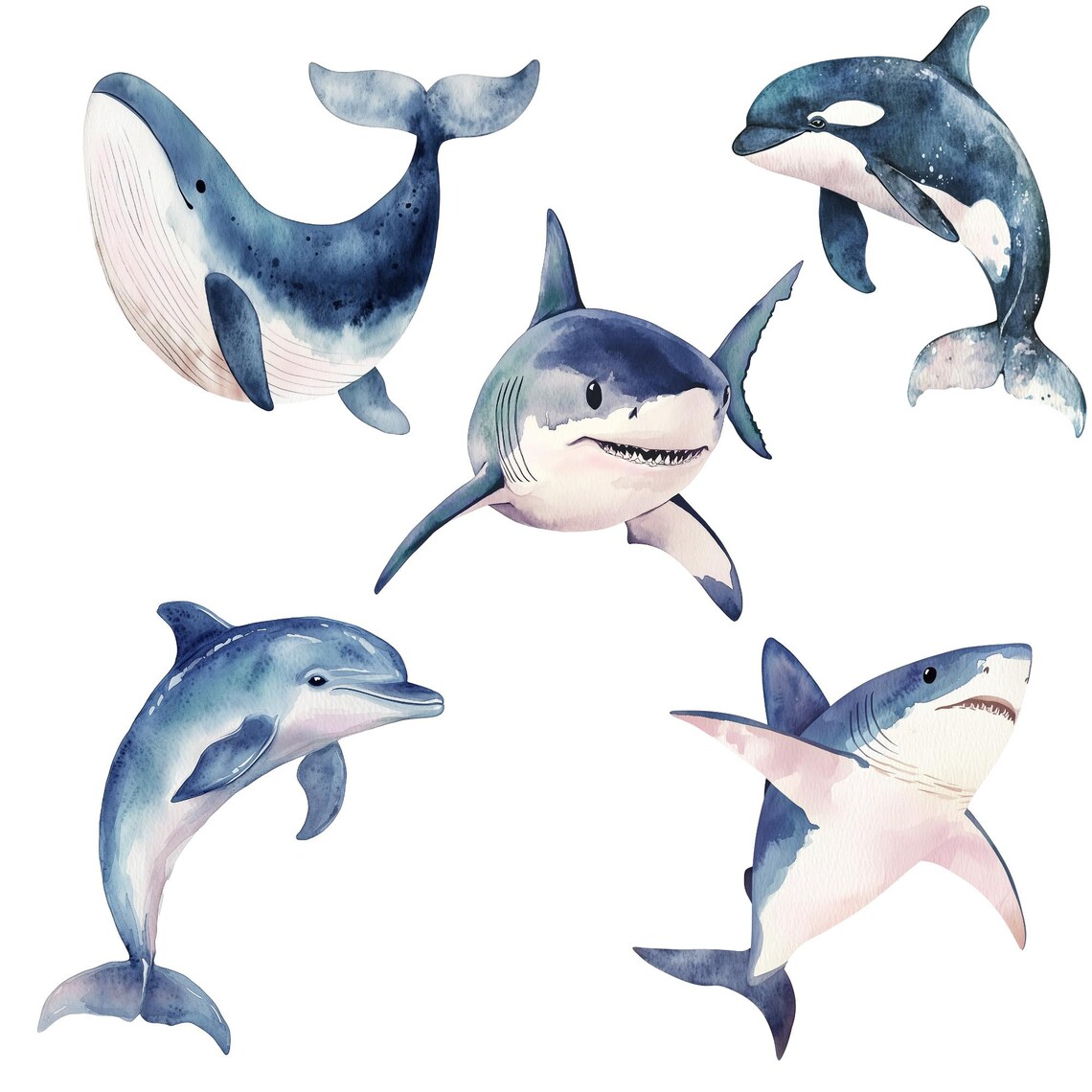 Under the Sea Clipart/ Cute Ocean Animals / Undersea Sealife ...