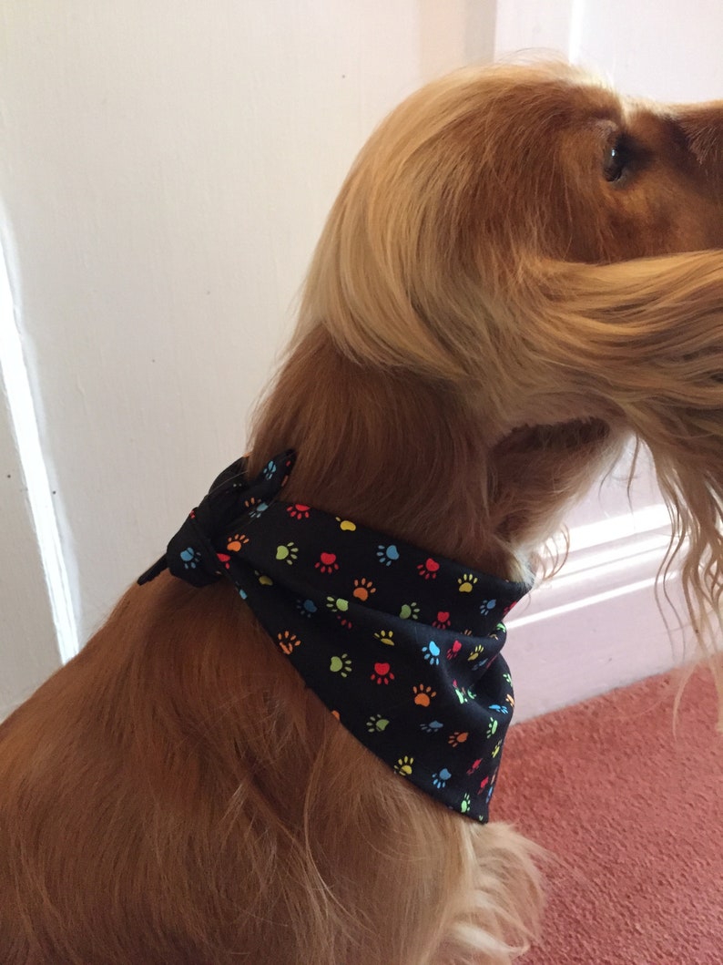 Dog Bandana Neck Tie Various Colours and Sizes - Etsy