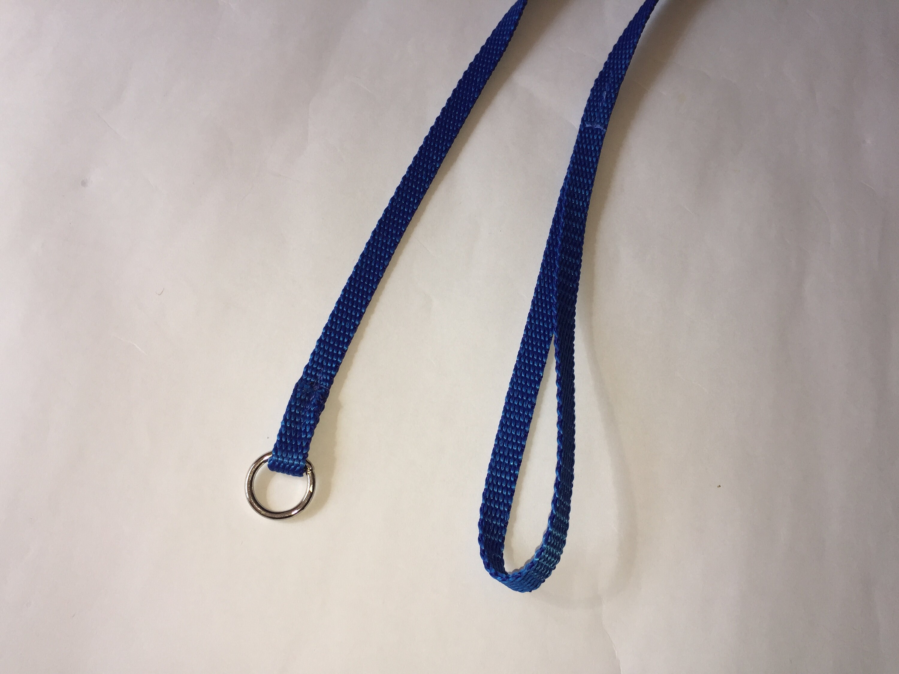 Flat Nylon Slip Lead Dog Show Lead Pointer Setter - Etsy