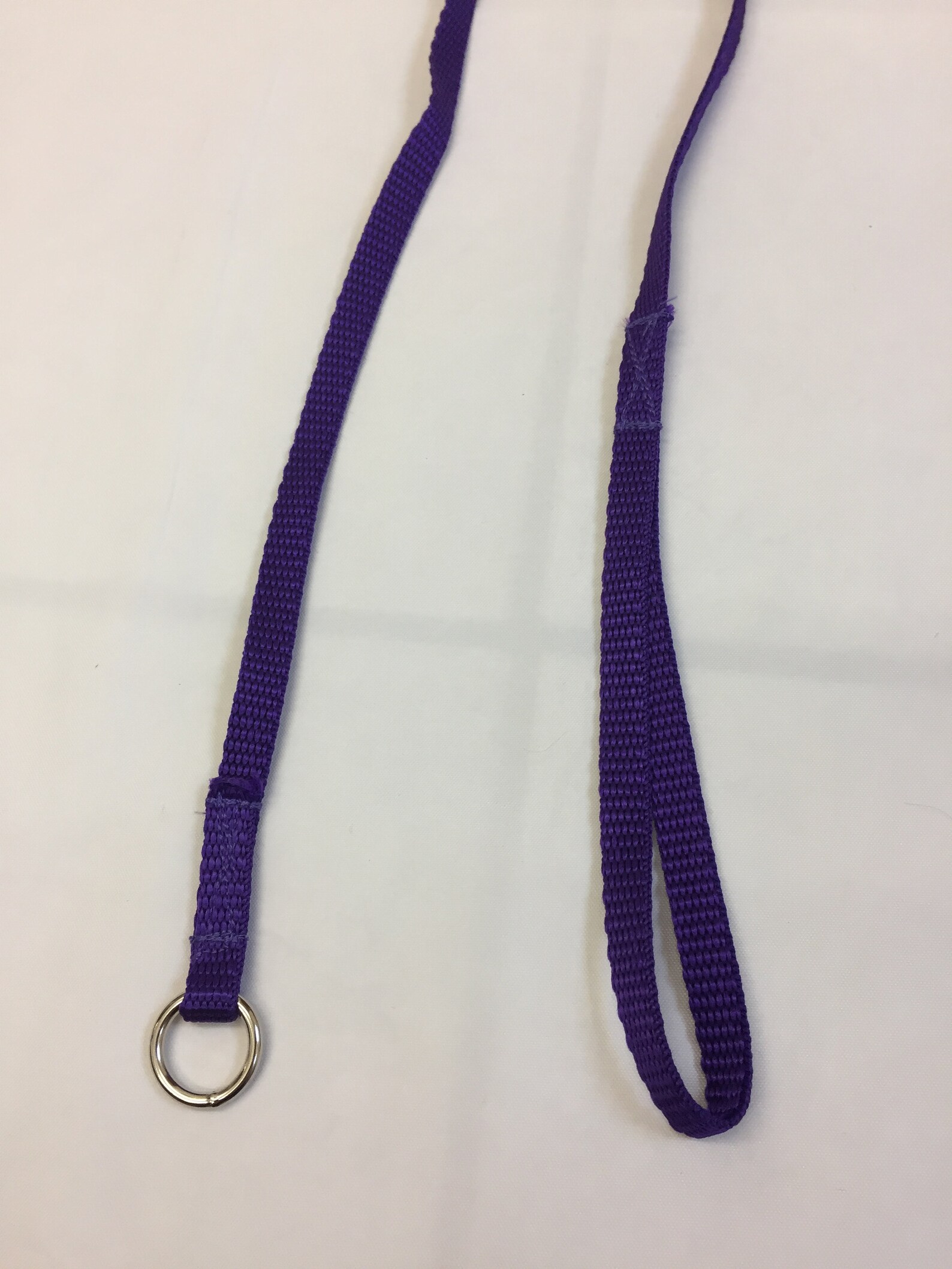 Flat Nylon Slip Lead Dog Show Lead Pointer Setter - Etsy