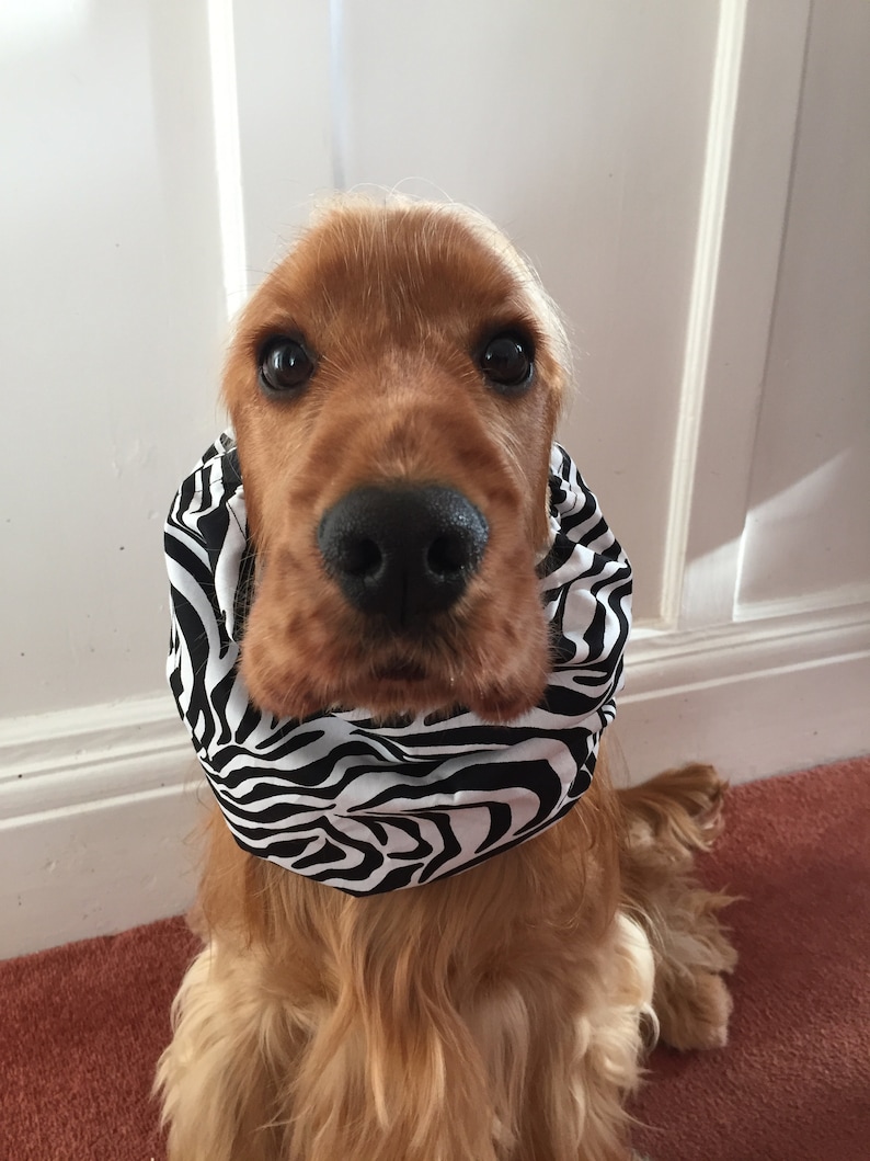 Dog Snood Medium Size Cocker Spaniel American Cocker - Etsy