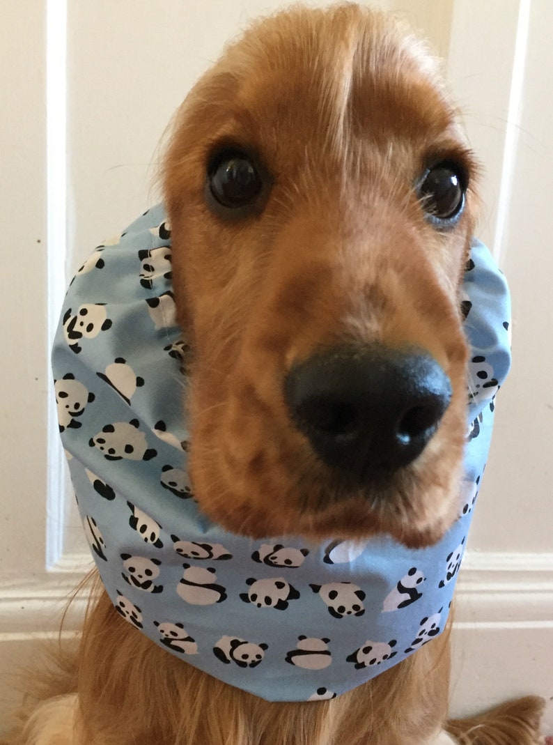 Dog Snood Medium Size Cocker Spaniel American Cocker | Etsy
