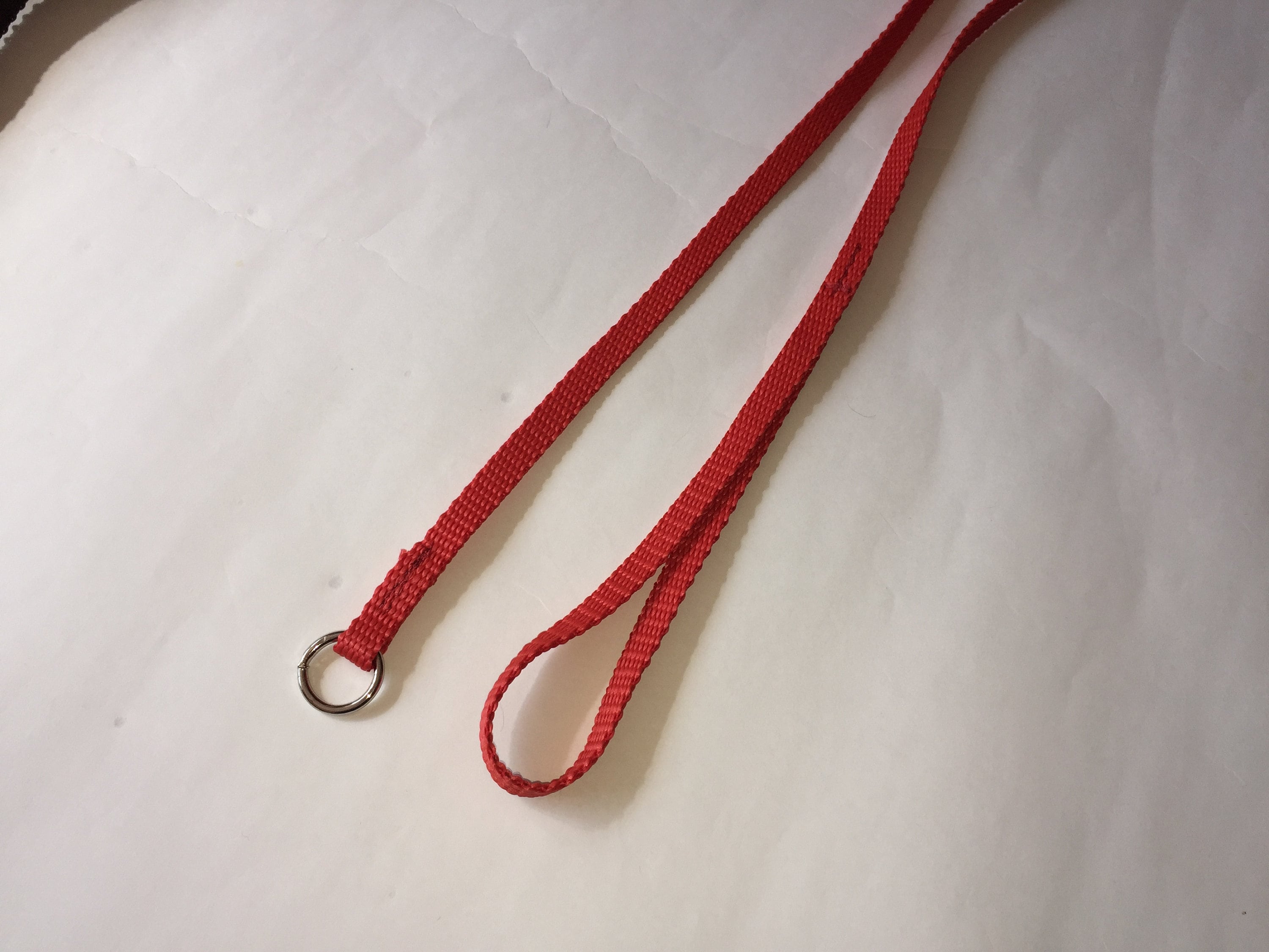 Flat Nylon Slip Lead Dog Show Lead Pointer Setter - Etsy