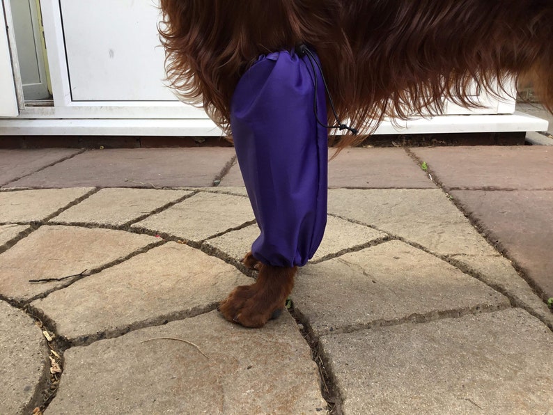 Show Dog Leg Wraps / Pom Wraps Standard Poodle Irish - Etsy