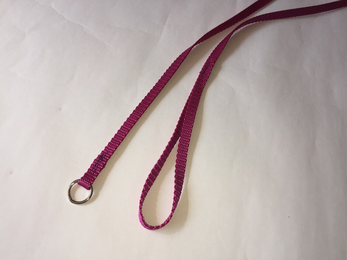 Flat Nylon Slip Lead - Dog Show Lead - Pointer, Setter - Etsy