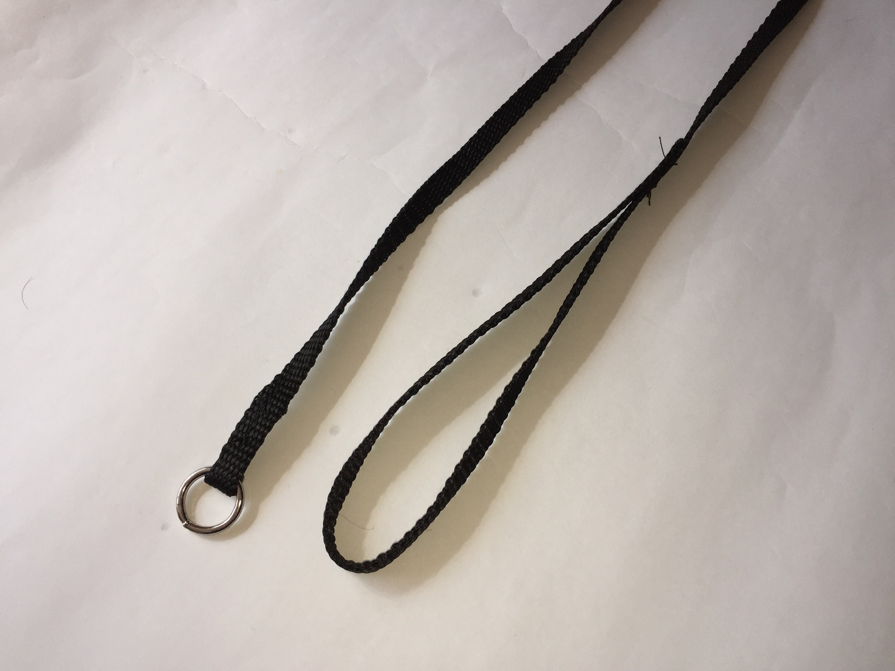 Flat Nylon Slip Lead - Dog Show Lead - Pointer, Setter - Etsy