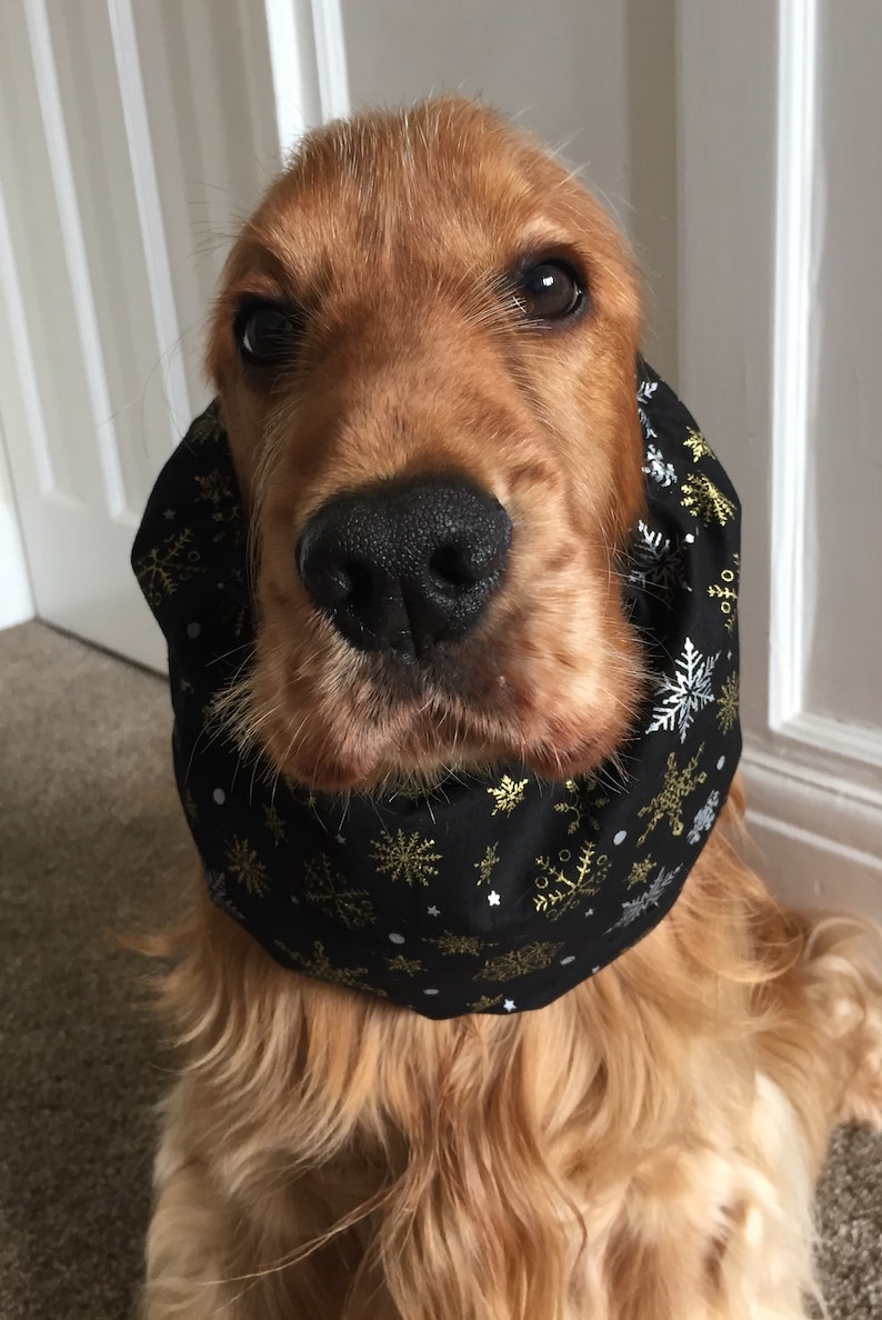 Dog Snood Medium Size Cocker Spaniel American Cocker | Etsy