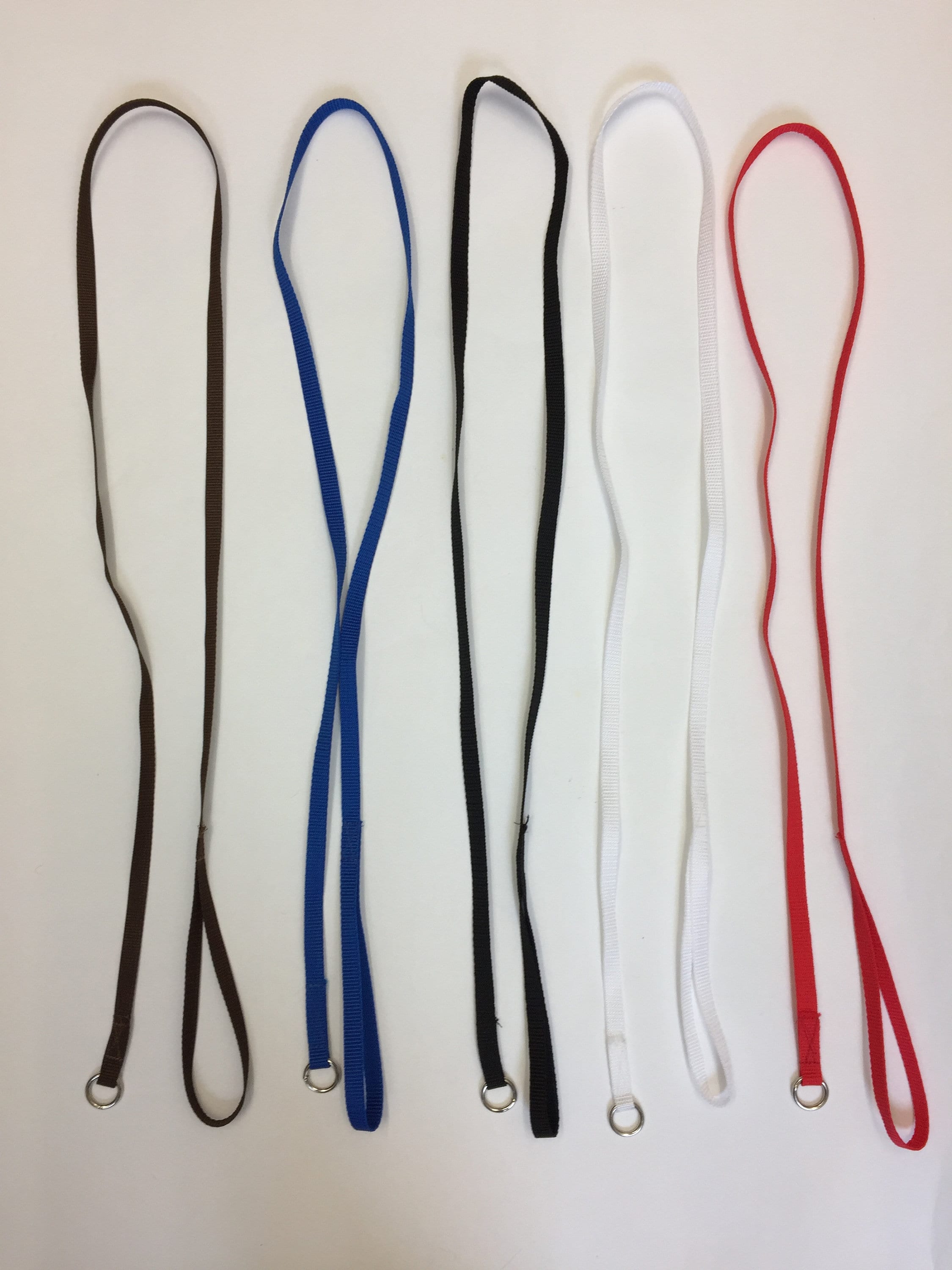 Flat Nylon Slip Lead - Dog Show Lead - Pointer, Setter - Etsy