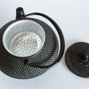 S6923 Iron Kettle Vintage Japanese Hand Made Tetsubin With Strainer ...