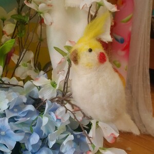 Cockatiel Needle Felted Bird Parrot. Cockatiel Bird Toy. Needle Felted ...