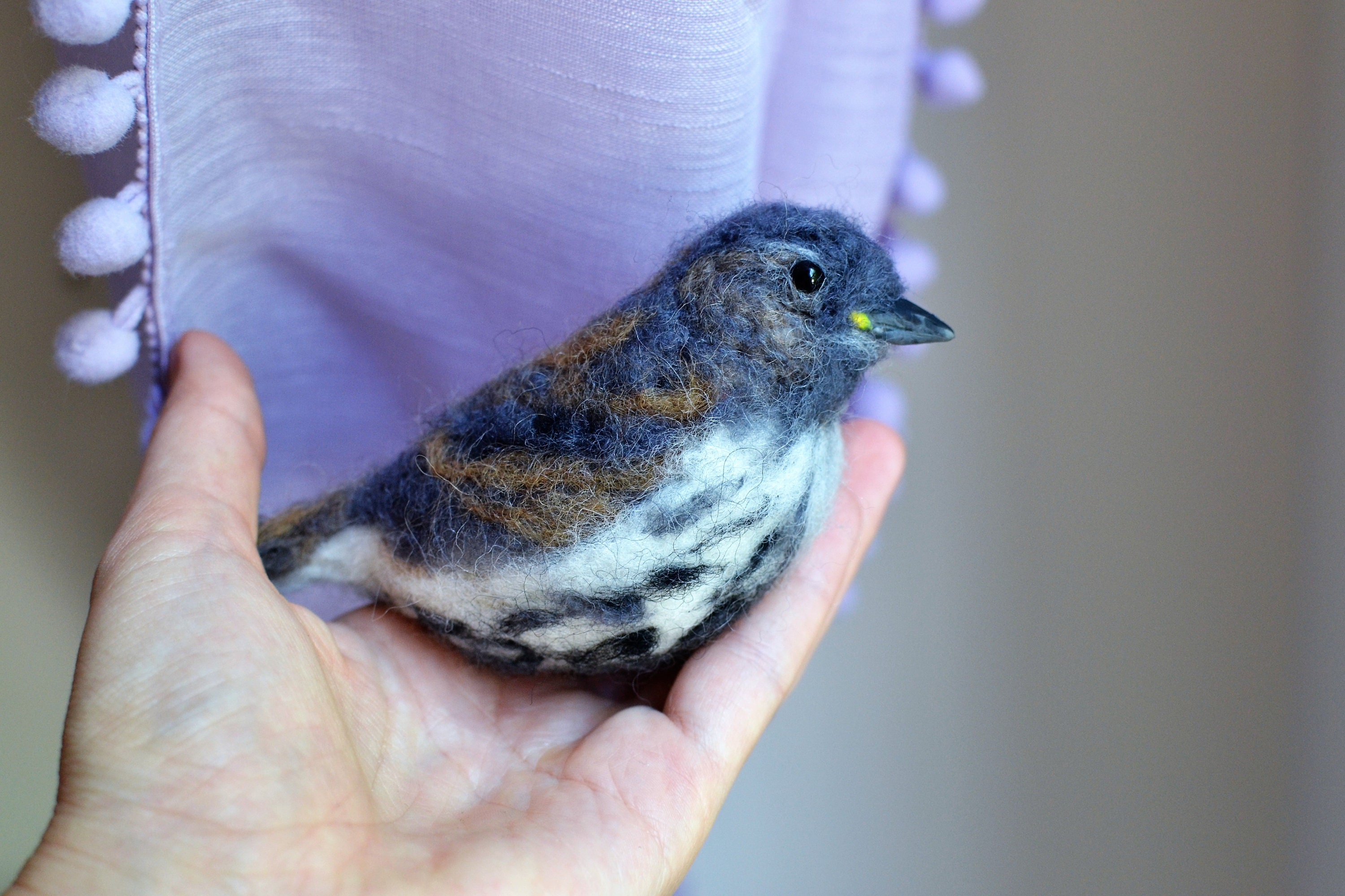 Blue Finch Bird