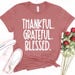 Thankful Grateful Blessed Shirt, Cute Fall Shirt, Thankful Grateful ...