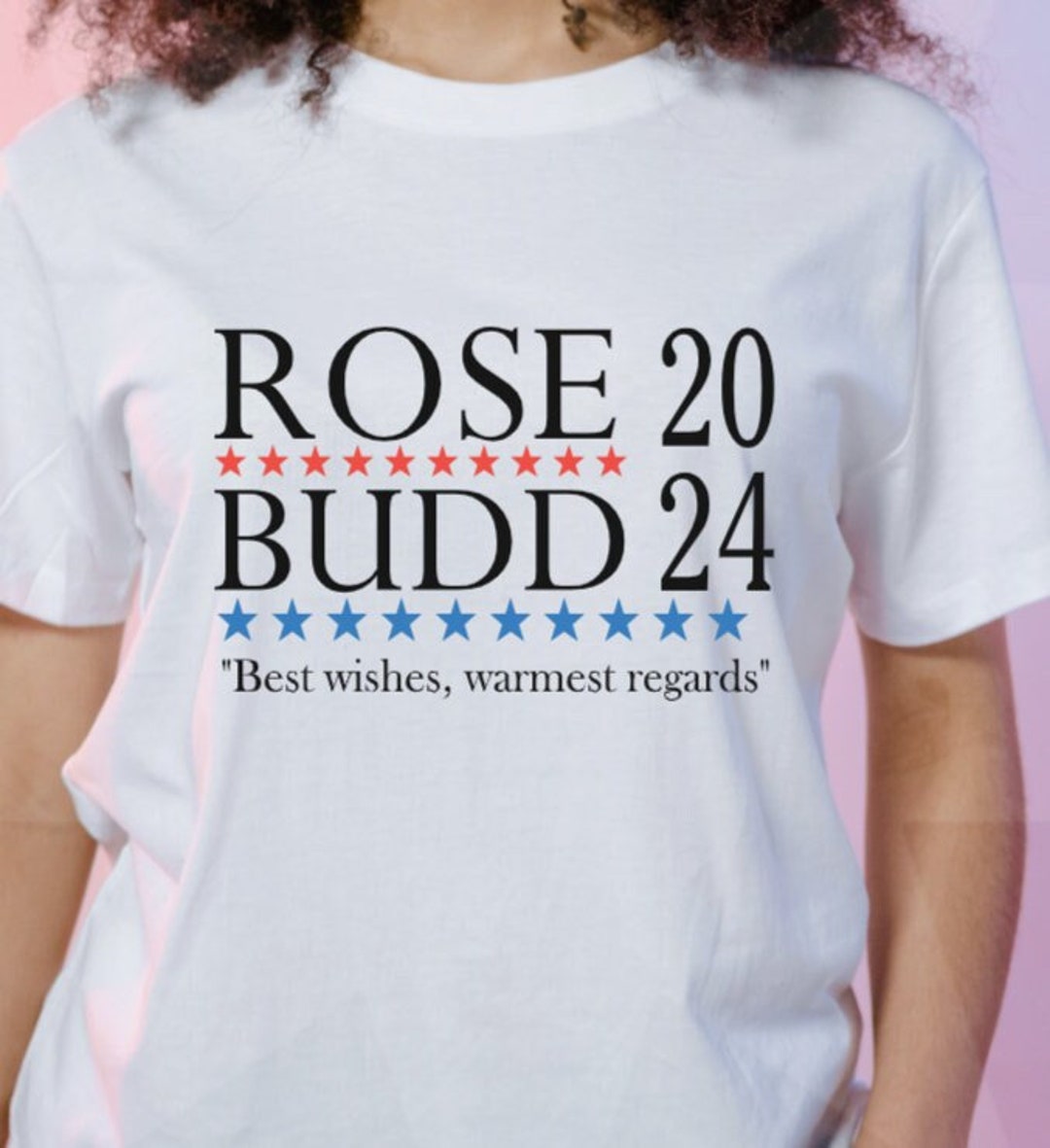 David and Stevie 2024, Election 2024 Humor, Funny Election Shirts, 2024 ...