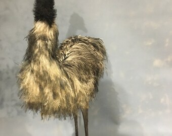 Ostrich Taxidermy | Etsy