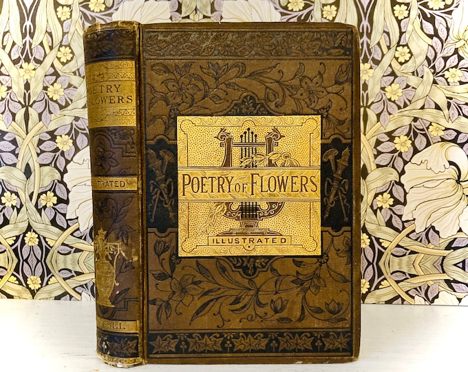 1880 the Language of Flowers and Floral Poesy: A Book for All Seasons ...