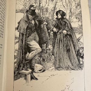 Beautiful Jane Eyre by Charlotte Bronte currer Bell, Illustrated by ...