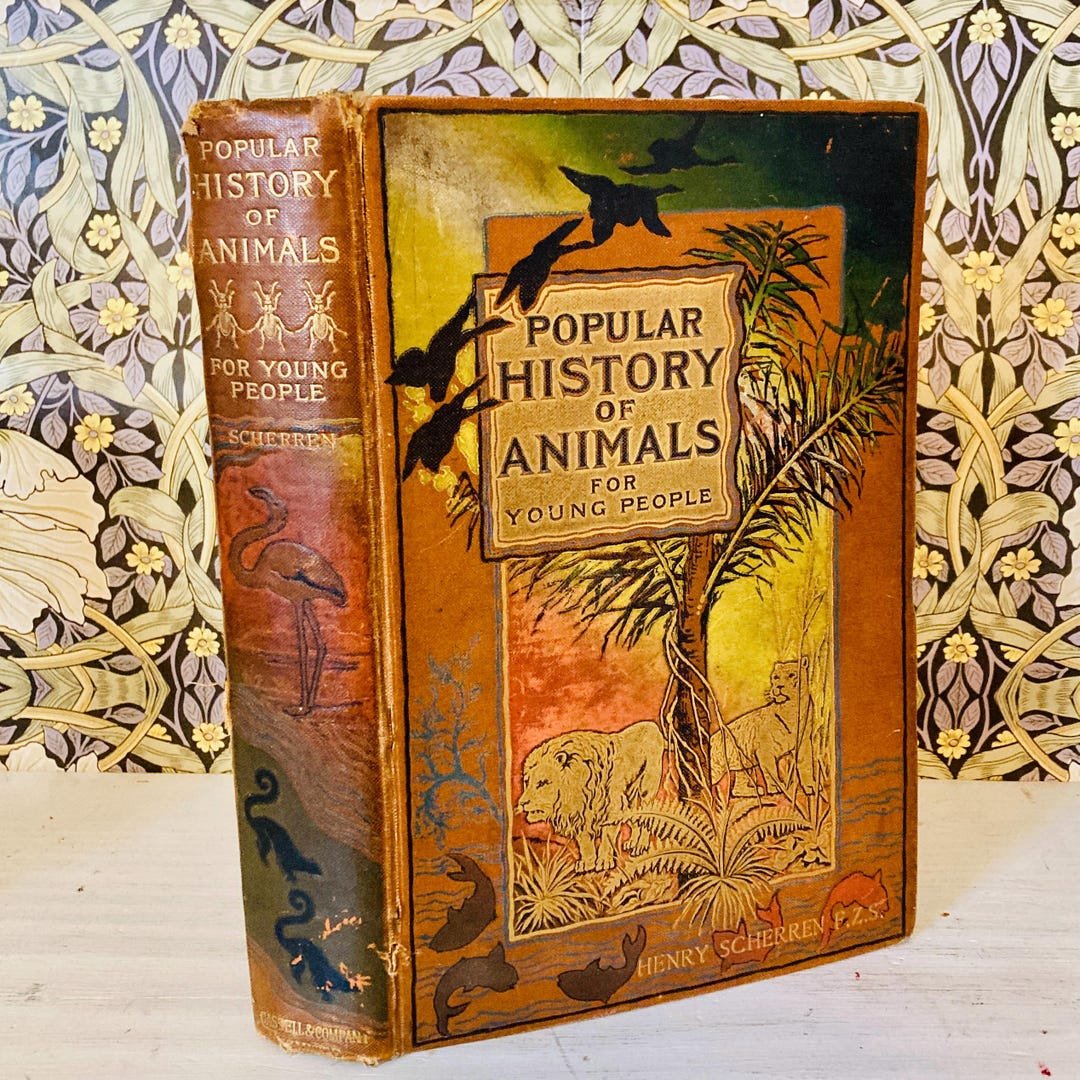 1896 Popular History of Animals for Young People ILLUSTRATED Victorian ...
