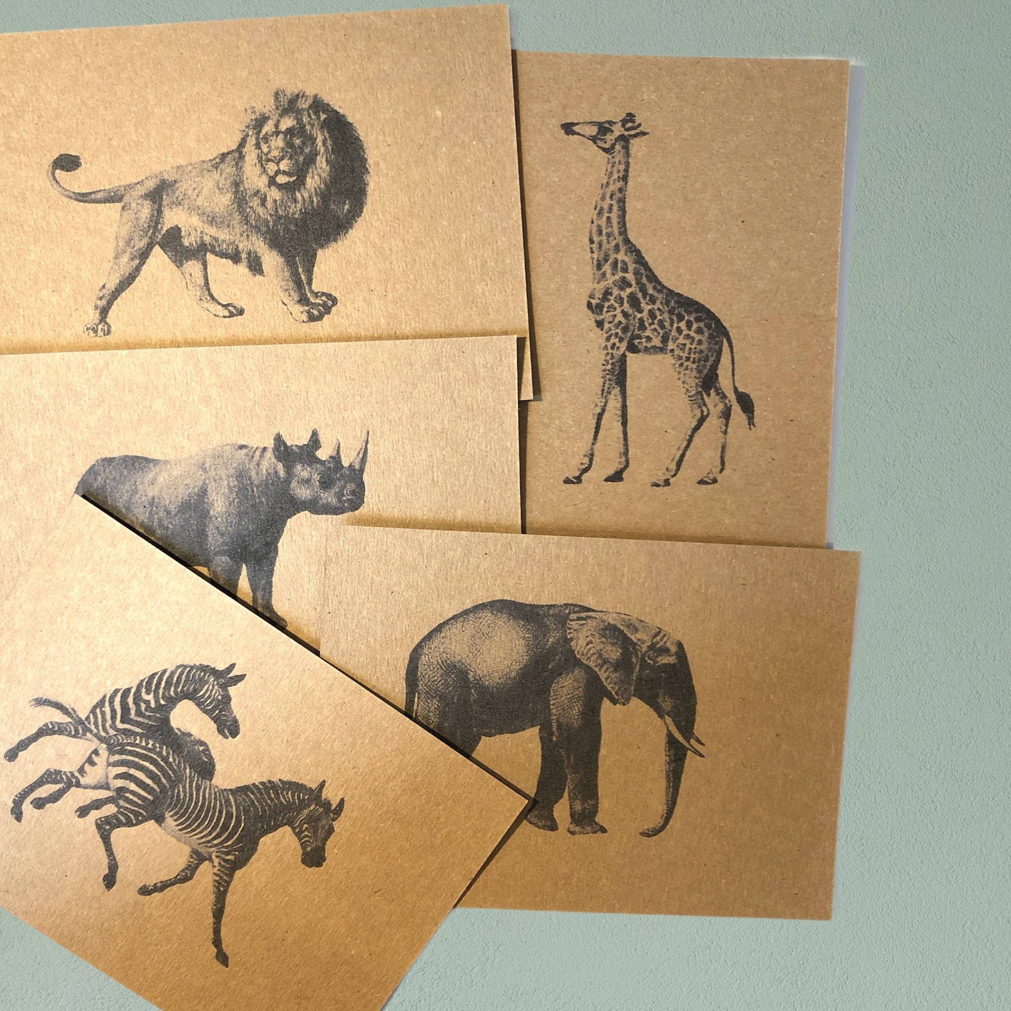 African Animals Note Card Postcards / African Animals Kraft - Etsy UK