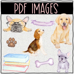 Printable Bulletin Board Display Kit - Teacher Bulletin Board – Dog ...