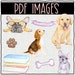 Printable Bulletin Board Display Kit Teacher Bulletin Board Dog Theme ...