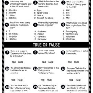 Christmas Fun Facts DIGITAL Reading Passage & Questions - Self Grading ...
