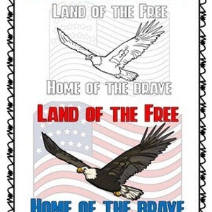 Veterans Day Collaborative Poster - Team Work - Memorial Day - Bulletin ...