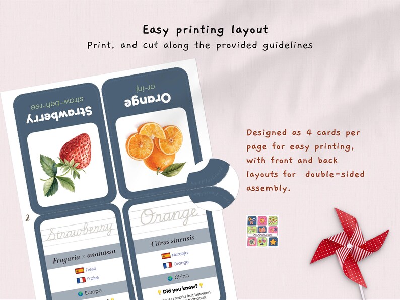 36 Fruit Facts Flashcards for Kids | Printable PDF With Bilingual ...