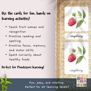 Fruits Nomenclature Flashcards Set | Montessori Botanical Watercolor ...