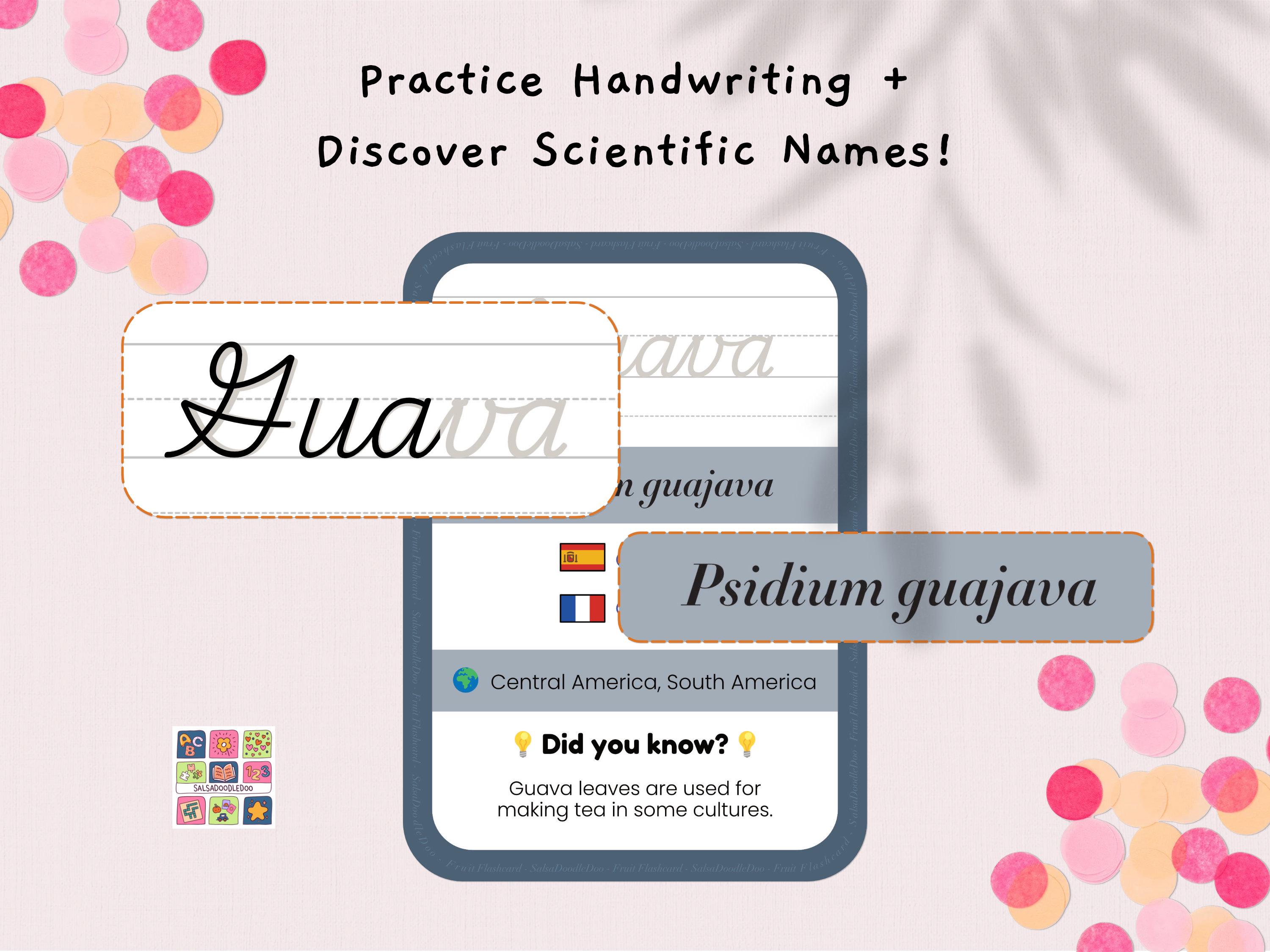 Fruit Flashcards Printable | Botanical Watercolor Design | 36 Fruits ...