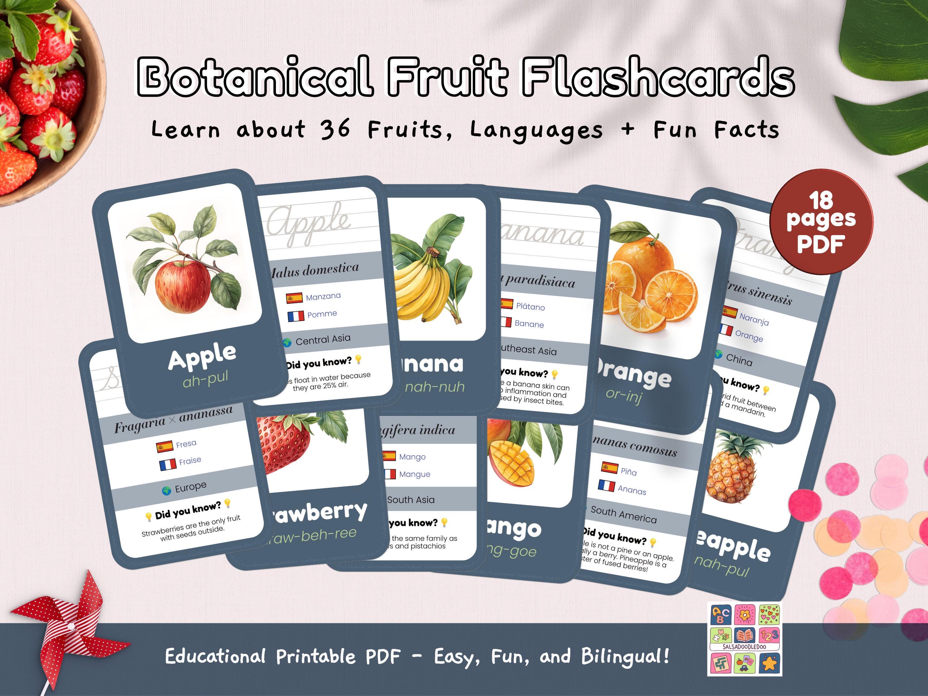 Fruit Flashcards Printable | Botanical Watercolor Design | 36 Fruits ...