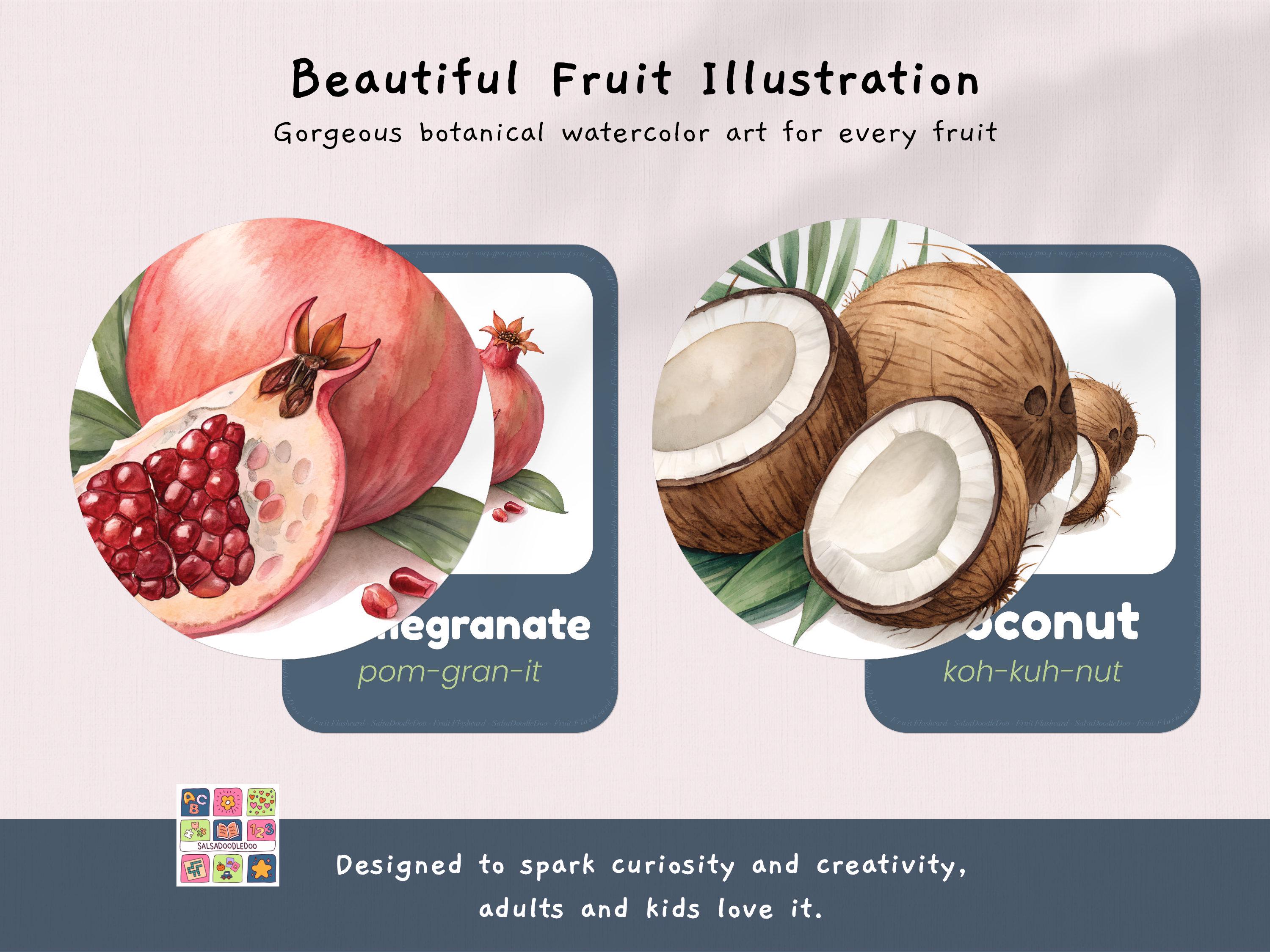 Fruit Flashcards Printable | Botanical Watercolor Design | 36 Fruits ...