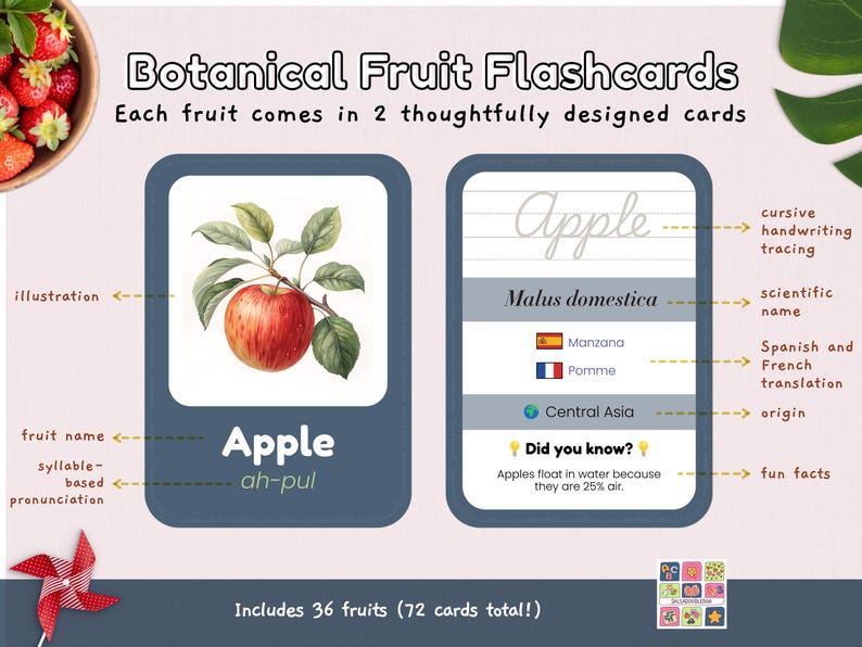 36 Fruit Facts Flashcards for Kids | Printable PDF With Bilingual ...