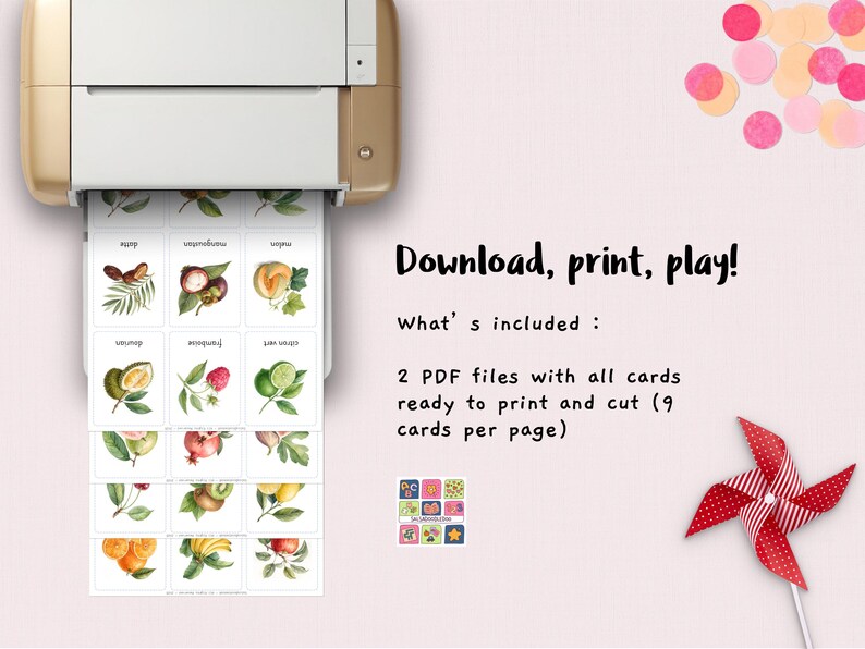 Printable Fruit Flashcards in French | Montessori Nomenclature Cards ...