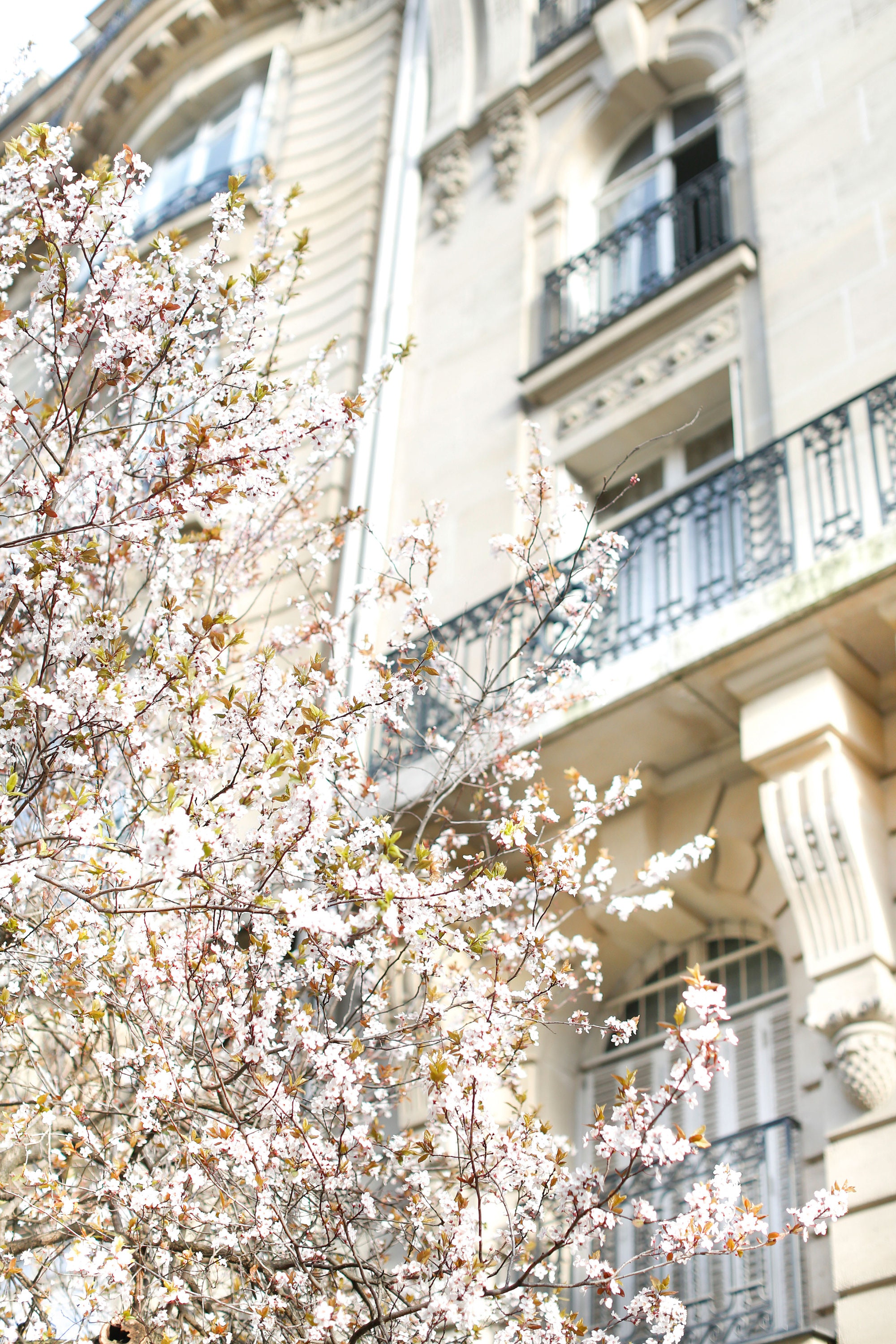 Paris Print Set of 3 // Blooming Paris travel Photography - Etsy UK