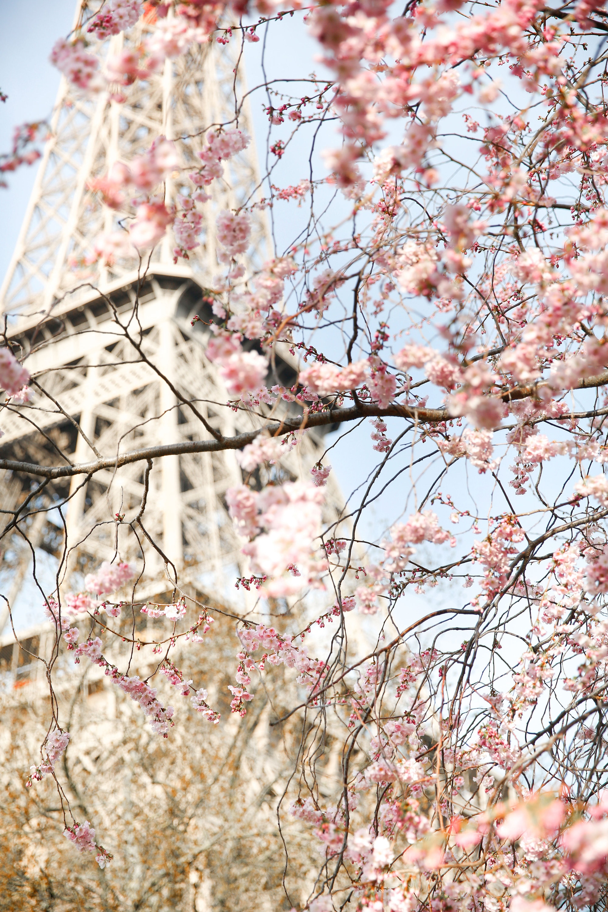 Paris Print Set of 3 // Blooming Paris travel Photography - Etsy UK