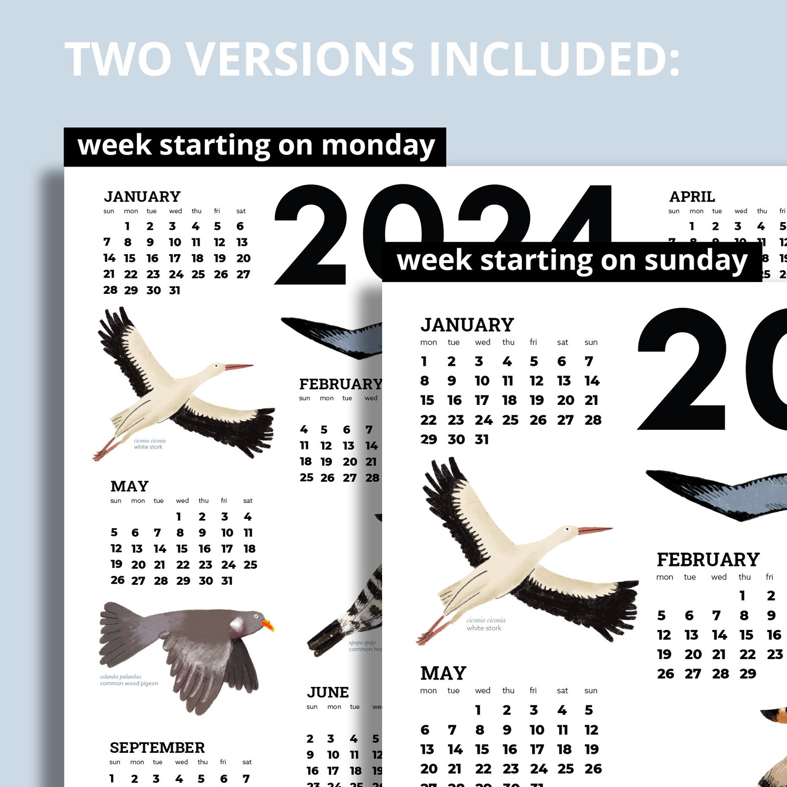 Birds 2024 Printable Calendar, 2024 Year Calendar, A3 Calendar ...