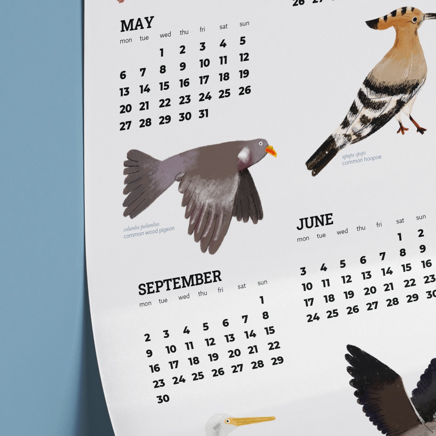 Birds 2024 Printable Calendar, 2024 Year Calendar, A3 Calendar ...