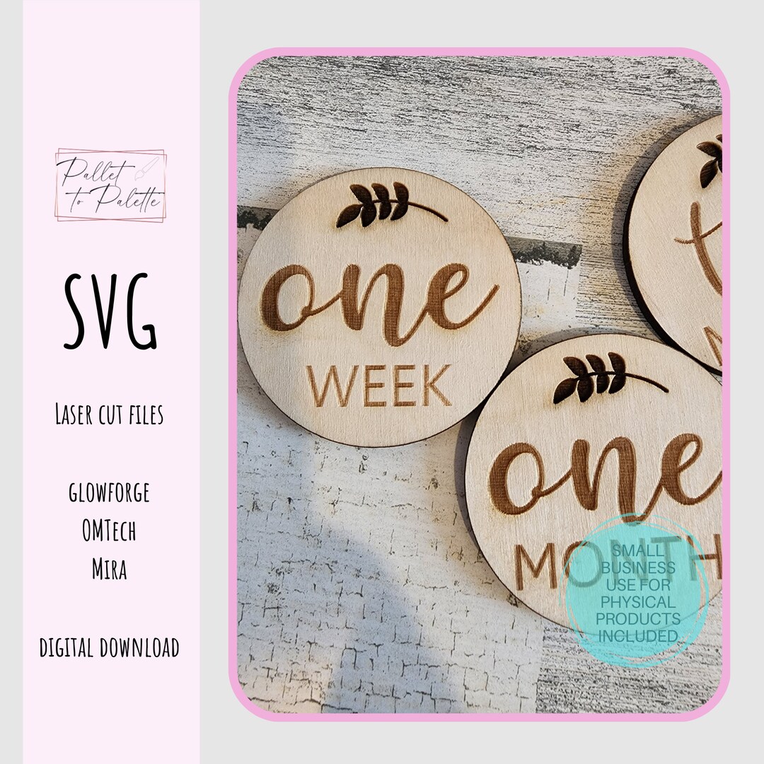 Baby Milestone Photo Prop Digital Download SVG | Birth Disc ...