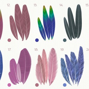 Procreate Feather Brushes | 35 Dynamic Procreate Brushes for Painting ...