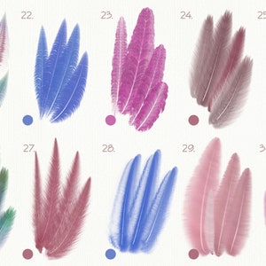 Procreate Feather Brushes: Dynamic Wings & Boho Art (digital Download ...