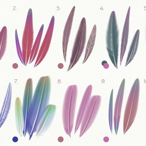 Procreate Feather Brushes: Dynamic Wings & Boho Art (digital Download ...