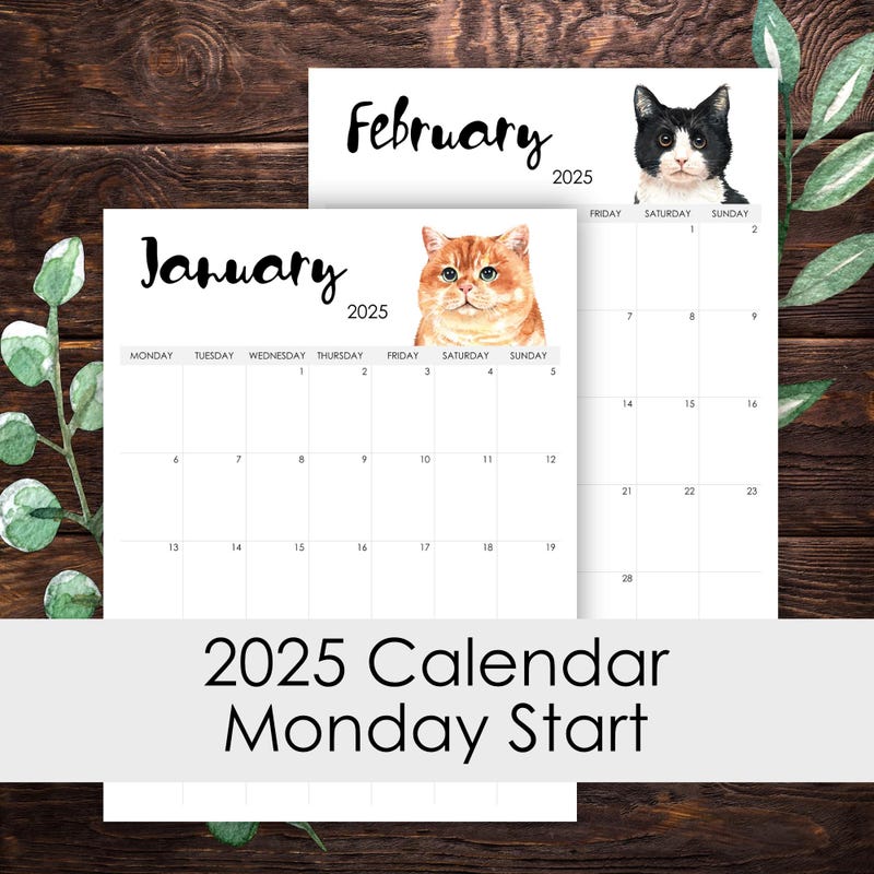 2024 Cat Calendar Desk - Etsy