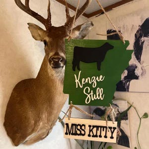 Ohio Stall Sign – Custom State Shaped Livestock Tag for 4H & FFA ...