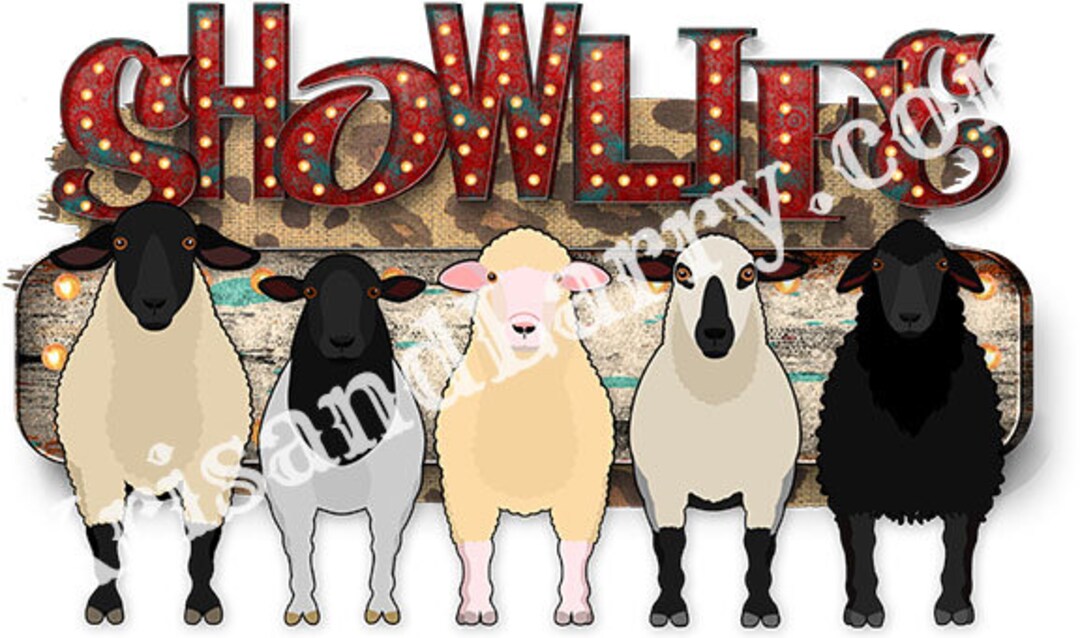 SHOW LIFE Sheep, Lamb, Shirt PNG for Sublimation, Hampshire, Dorset ...
