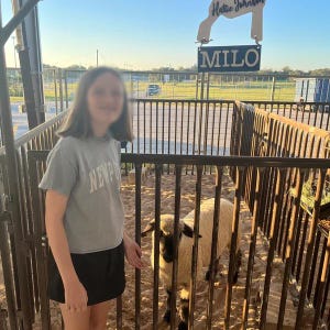 Livestock Stall Sign With Chalkboard Base, 4H FFA, Steer Stall Sign ...