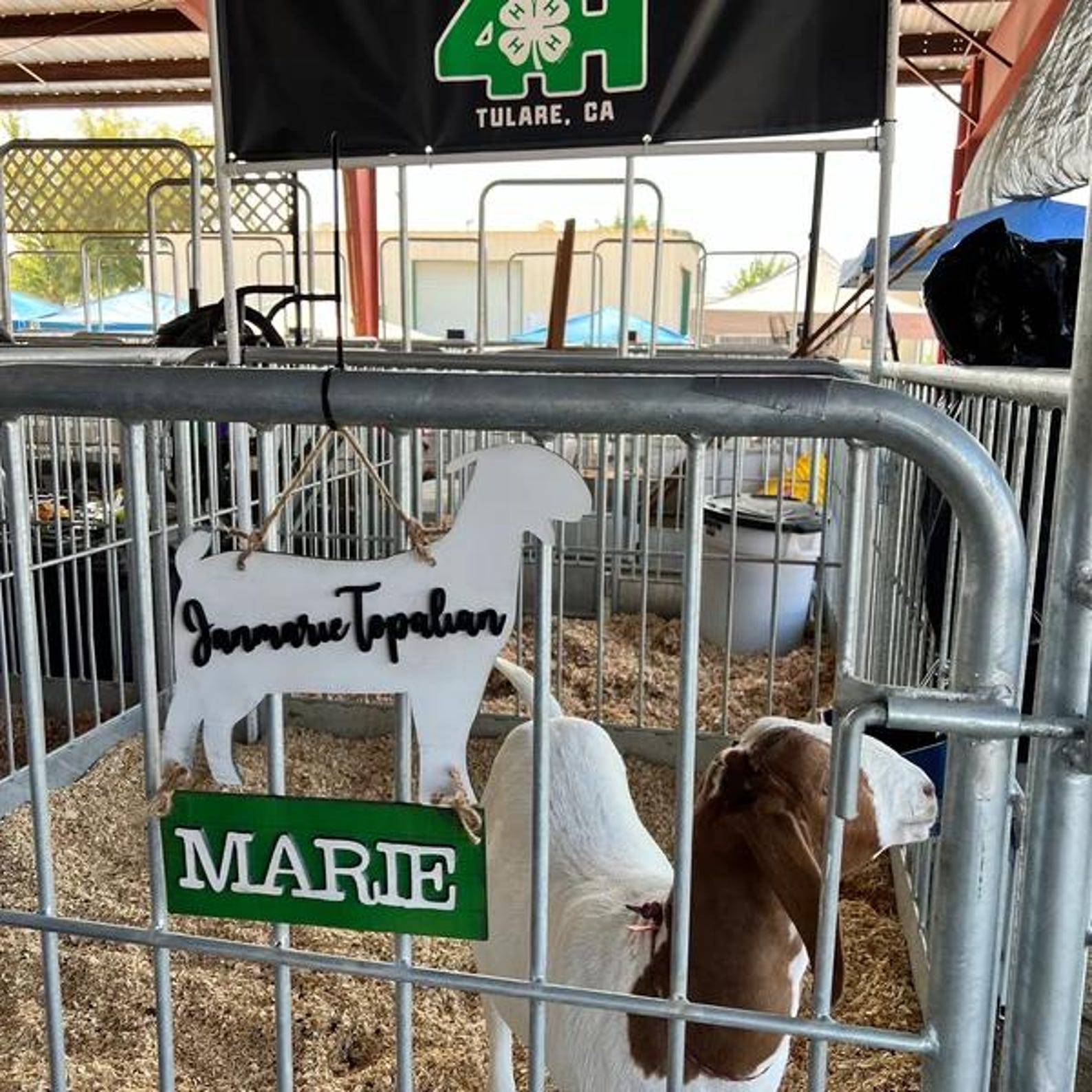 Livestock Stall Sign With Chalkboard Base, 4H FFA, Steer Stall Sign ...