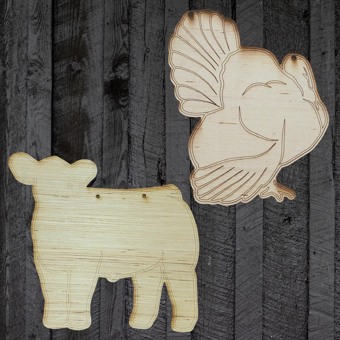 Front Facing Steer Wood Stall Sign Blank | Angus, Hereford, Charolais ...