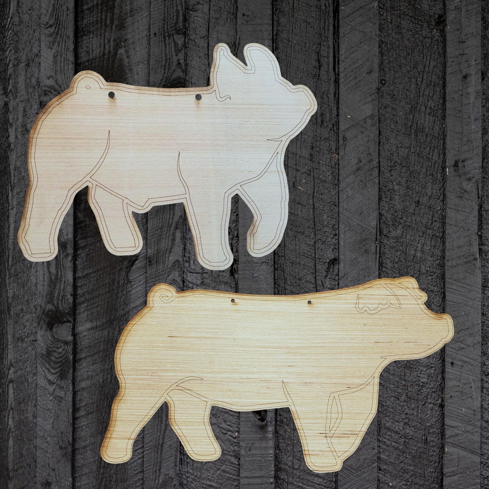 Front Facing Steer Wood Stall Sign Blank | Angus, Hereford, Charolais ...